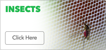 Wire Mesh, Netting Rolls & Fences | Wire Fence