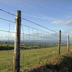 Green Stock Fence – HT8/80/15 – 100m | Wire Fence