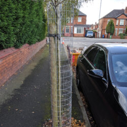 75mm x 25mm Galvanised Tree Guard (H1.2m x D30cm) - 12g (Pack of 5 ...