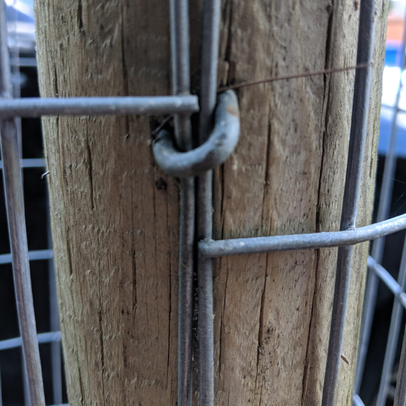 75mm x 25mm Galvanised Tree Guard (H1.2m x D45cm) - 12g (Pack of 5 ...