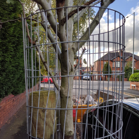 75mm x 25mm Galvanised Tree Guard (H1.8m x D60cm) - 12g (Pack of 5 ...