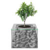 Gabion Planter (All Sizes) QUICK DELIVERY | Wire Fence