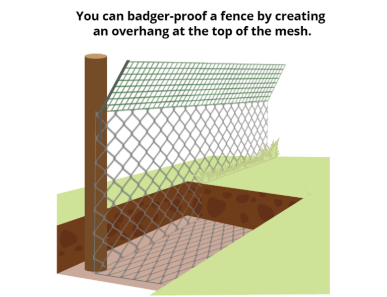 How to Install a Badger-Proof Fence (FREE PDF) | Wire Fence
