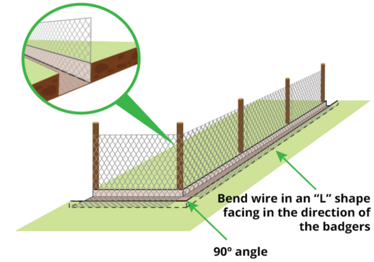 How to Install a Badger-Proof Fence (FREE PDF) | Wire Fence