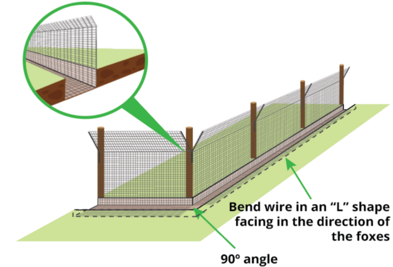 How to Install a Fox-Proof Fence (PRINTABLE PDF) | WireFence