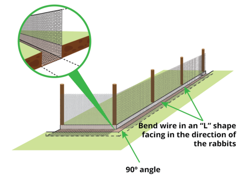 How to Install a Rabbit-Proof Fence (FREE PDF) | Wire Fence