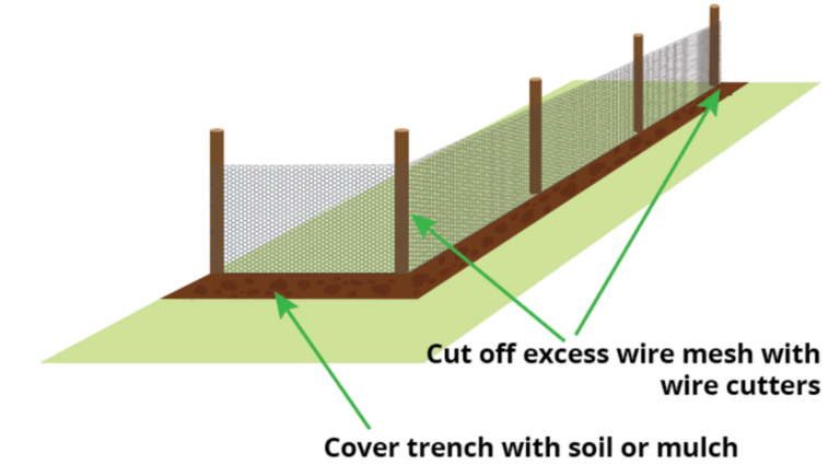 How to Install a Rabbit-Proof Fence (FREE PDF) | Wire Fence
