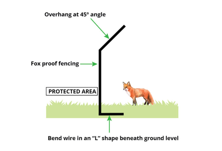 How to Install a Fox-Proof Fence (PRINTABLE PDF) | WireFence