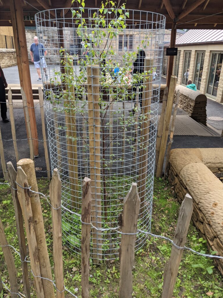 Tree Protectors & Guards UK (NEXT DAY DELIVERY) | Wire Fence