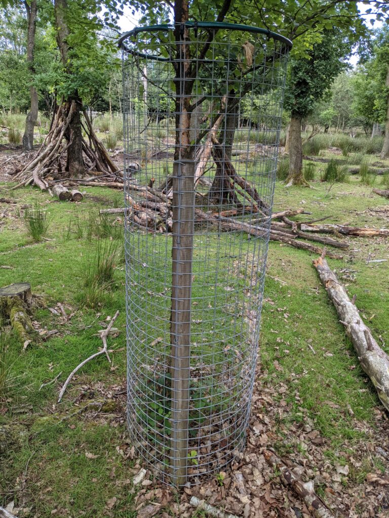 Tree Protectors & Guards UK (NEXT DAY DELIVERY) | Wire Fence
