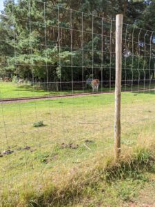 Stock Fencing UK Suppliers (NEXT DAY DELIVERY) | Wire Fence