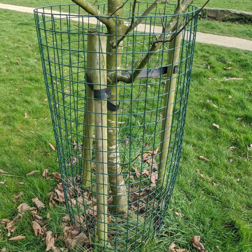 Tree Protectors & Guards UK (NEXT DAY DELIVERY) | Wire Fence