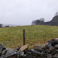 Stock Fencing UK Suppliers (QUICK DELIVERY) | Wire Fence