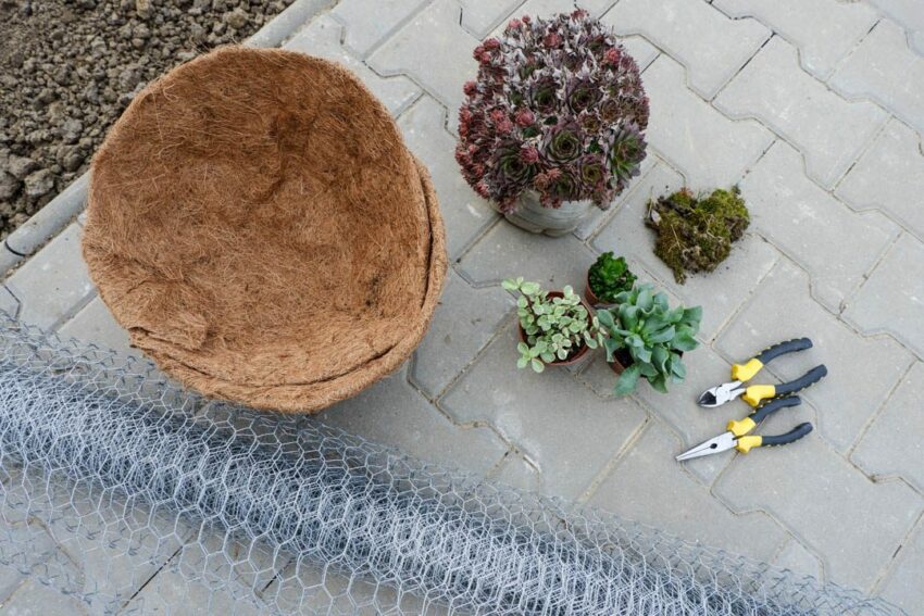 How to Make Topiary Frames with Chicken Wire (Easy Guide) | Wire Fence