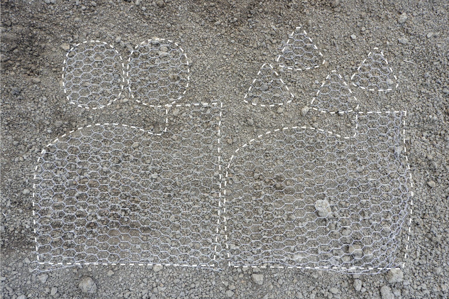 How to Make Topiary Frames with Chicken Wire (Easy Guide) | Wire Fence