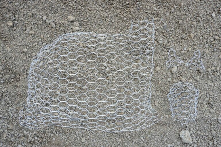 How to Make Topiary Frames with Chicken Wire (Easy Guide) | Wire Fence