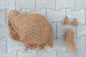 How to Make Topiary Frames with Chicken Wire (Easy Guide) | Wire Fence