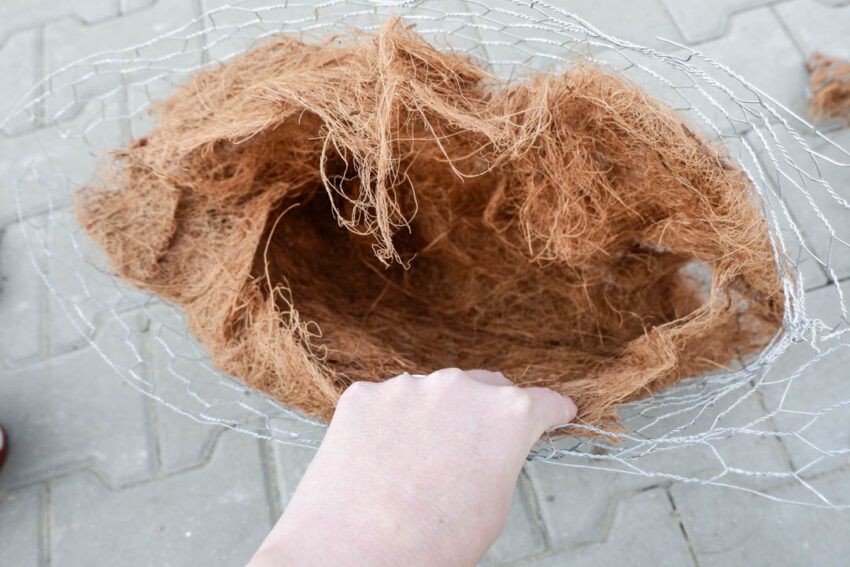 How to Make Topiary Frames with Chicken Wire (Easy Guide) | Wire Fence
