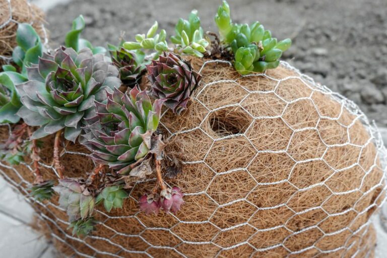 How to Make Topiary Frames with Chicken Wire (Easy Guide) | Wire Fence