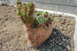 How to Make Topiary Frames with Chicken Wire (Easy Guide) | Wire Fence