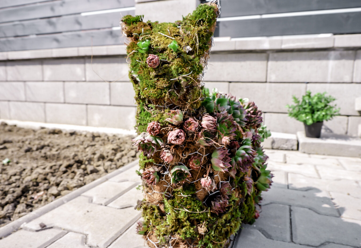 How to Make Topiary Frames with Chicken Wire (Easy Guide) | Wire Fence