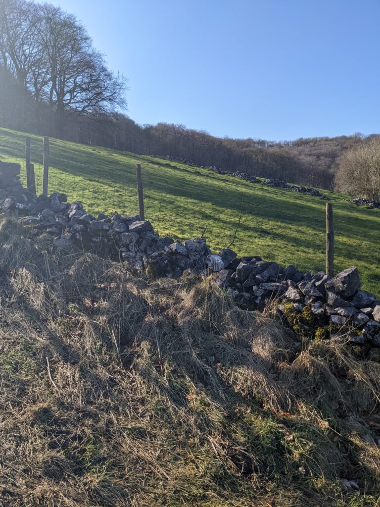 Stock Fencing UK Suppliers (NEXT DAY DELIVERY) | Wire Fence