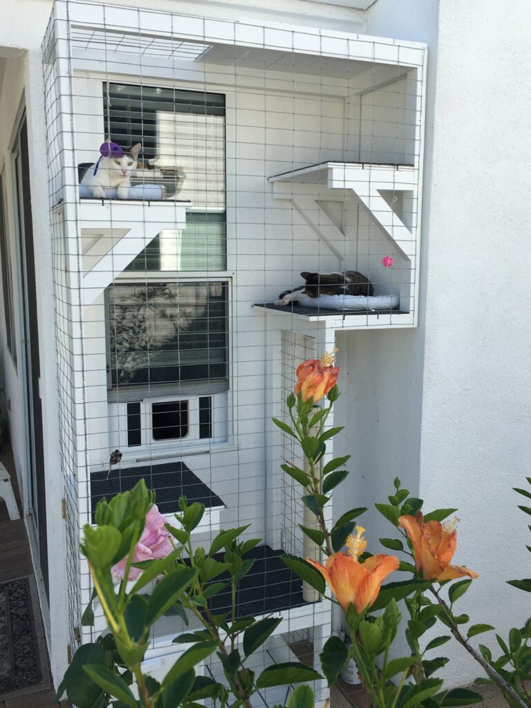 Catio Ideas: 50+ AMAZING CATIO IMAGES | Wire Fence