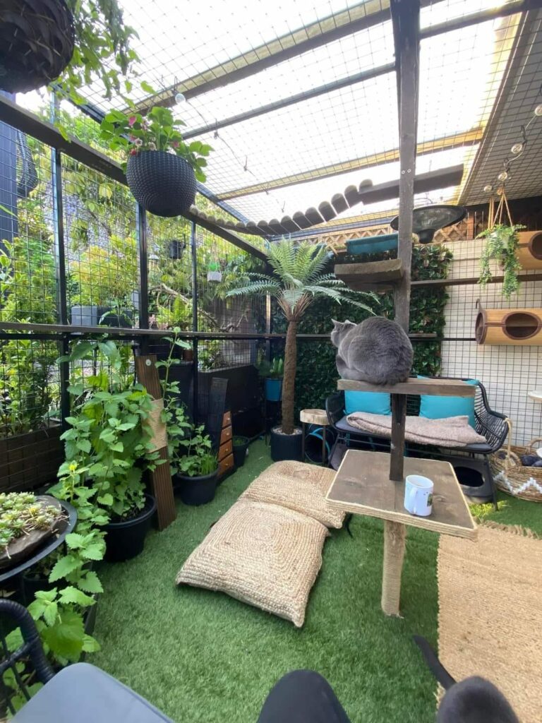 Catio Ideas: 50+ AMAZING CATIO IMAGES | Wire Fence