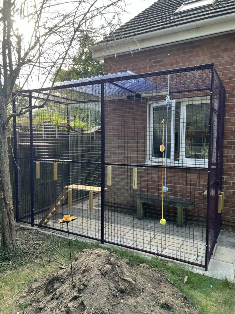 Catio Ideas: 50+ AMAZING CATIO IMAGES | Wire Fence