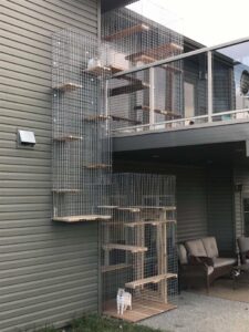 Catio Ideas: 50+ AMAZING CATIO IMAGES | Wire Fence