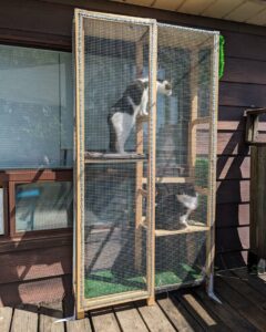 Catio Ideas: 50+ AMAZING CATIO IMAGES | Wire Fence