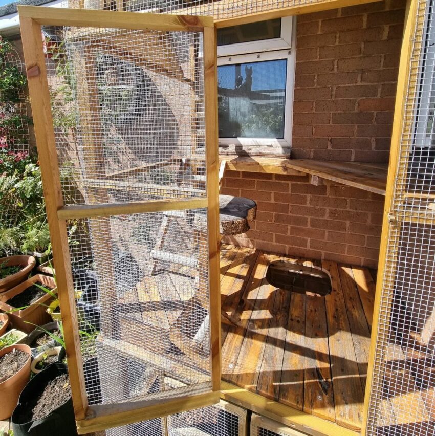 Catio Ideas: 50+ AMAZING CATIO IMAGES | Wire Fence