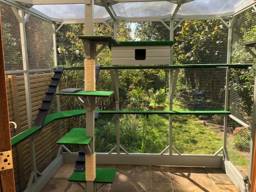 Catio Ideas: 50+ AMAZING CATIO IMAGES | Wire Fence