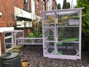 Catio Ideas: 50+ AMAZING CATIO IMAGES | Wire Fence