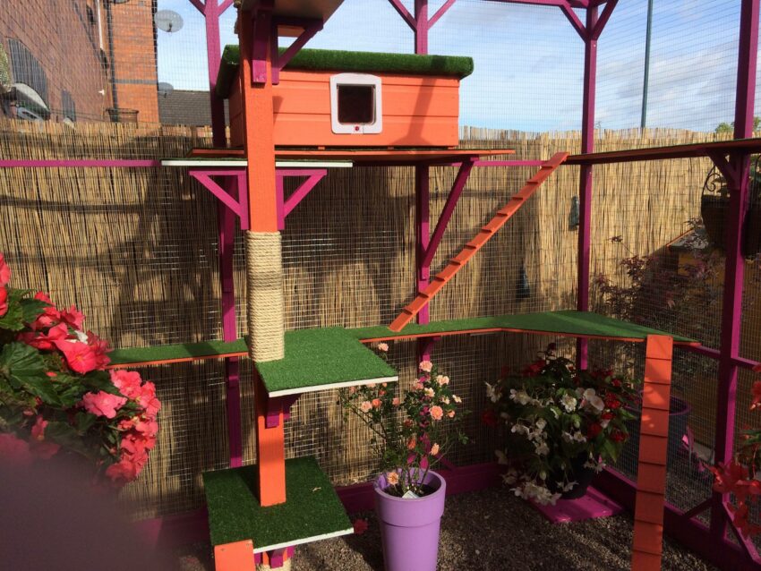 Catio Ideas: 50+ AMAZING CATIO IMAGES | Wire Fence