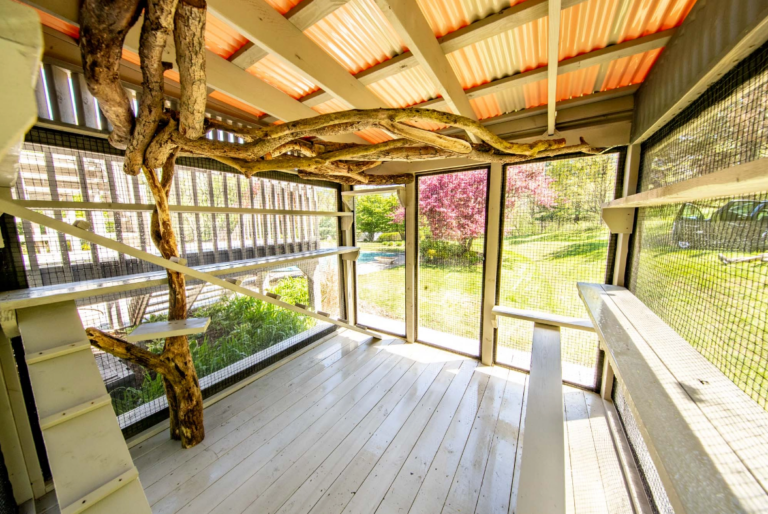 Catio Ideas: 50+ AMAZING CATIO IMAGES | Wire Fence