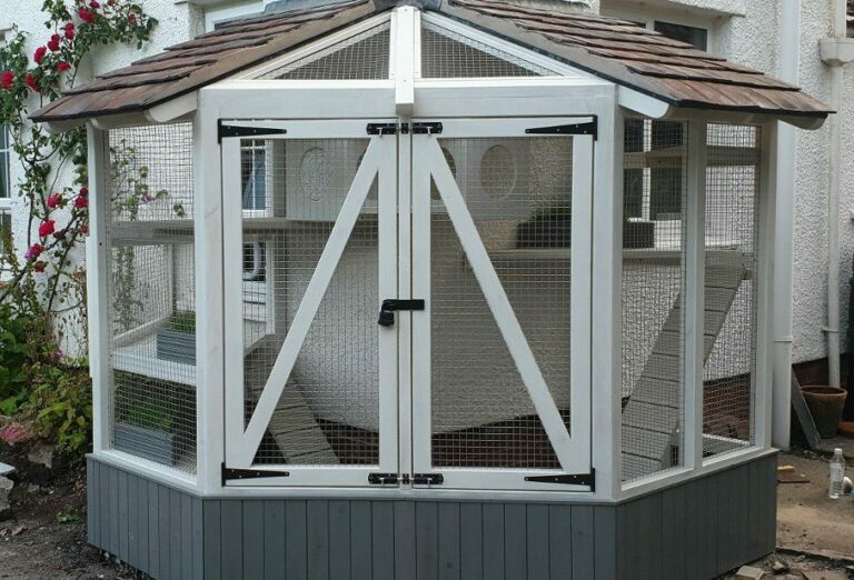 Catio Ideas: 50+ AMAZING CATIO IMAGES | Wire Fence
