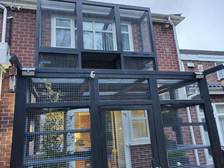 Catio Ideas: 50+ AMAZING CATIO IMAGES | Wire Fence