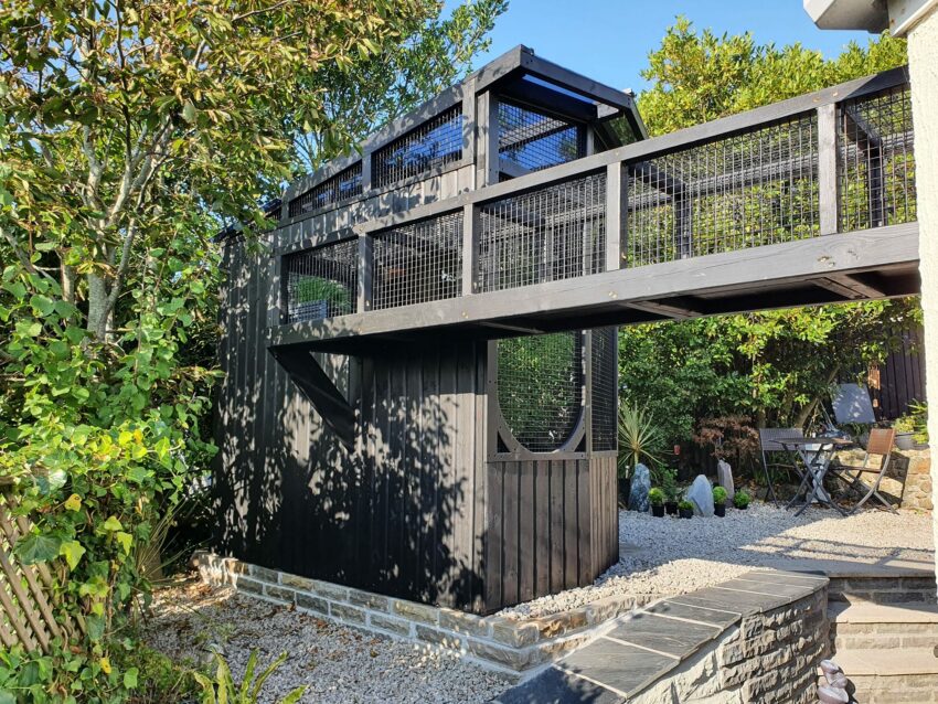 Catio Ideas: 50+ AMAZING CATIO IMAGES | Wire Fence