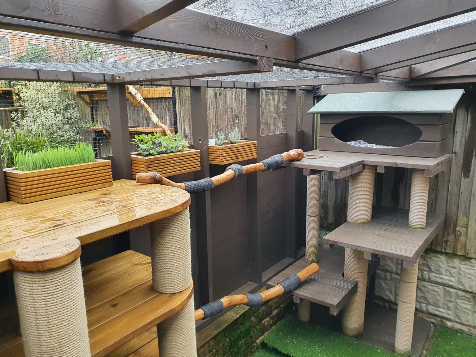 Catio Ideas: 50+ AMAZING CATIO IMAGES | Wire Fence