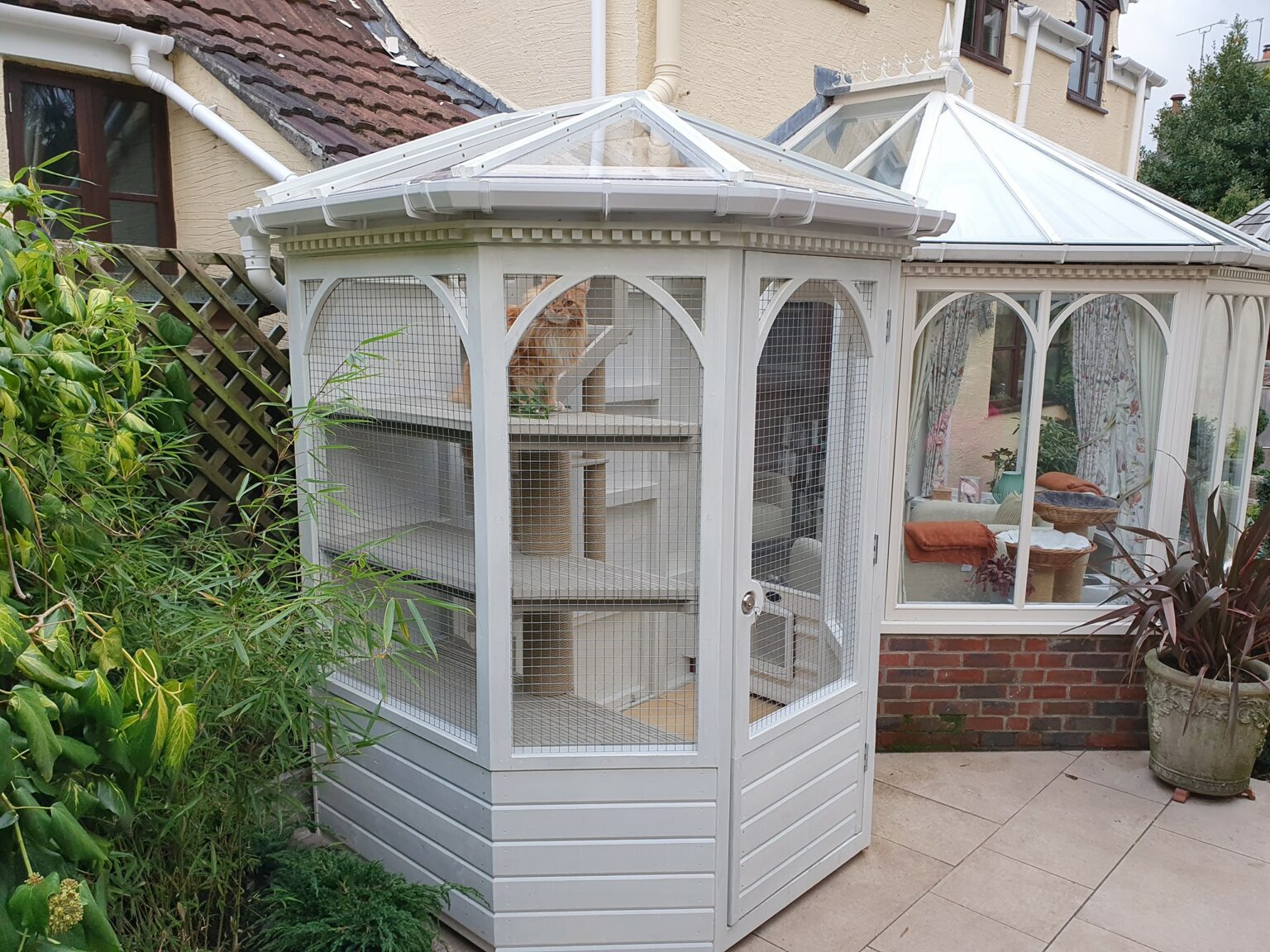 Catio Ideas: 50+ AMAZING CATIO IMAGES | Wire Fence