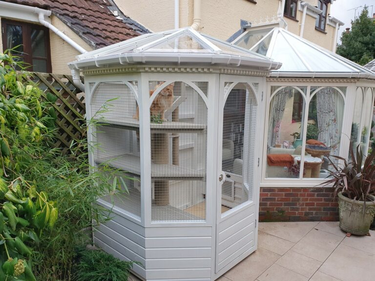 Catio Ideas: 50+ AMAZING CATIO IMAGES | Wire Fence