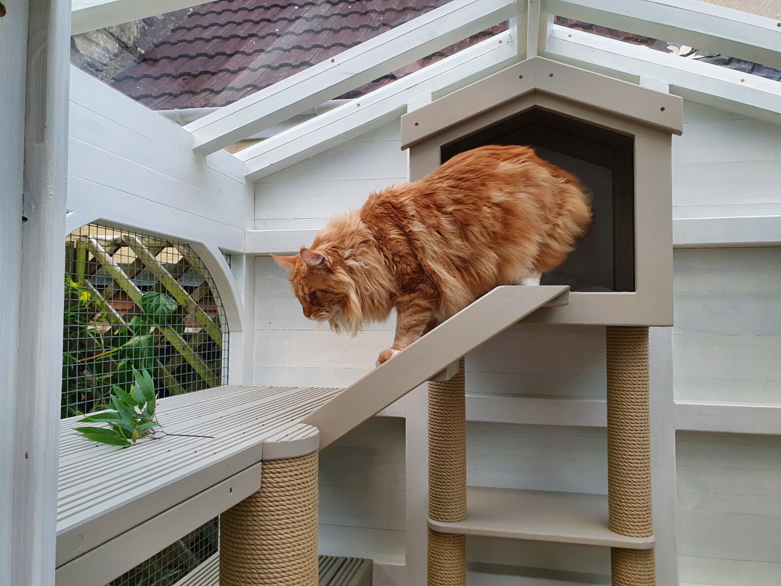 Catio Ideas: 50+ AMAZING CATIO IMAGES | Wire Fence