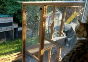 Catio Ideas: 50+ AMAZING CATIO IMAGES | Wire Fence
