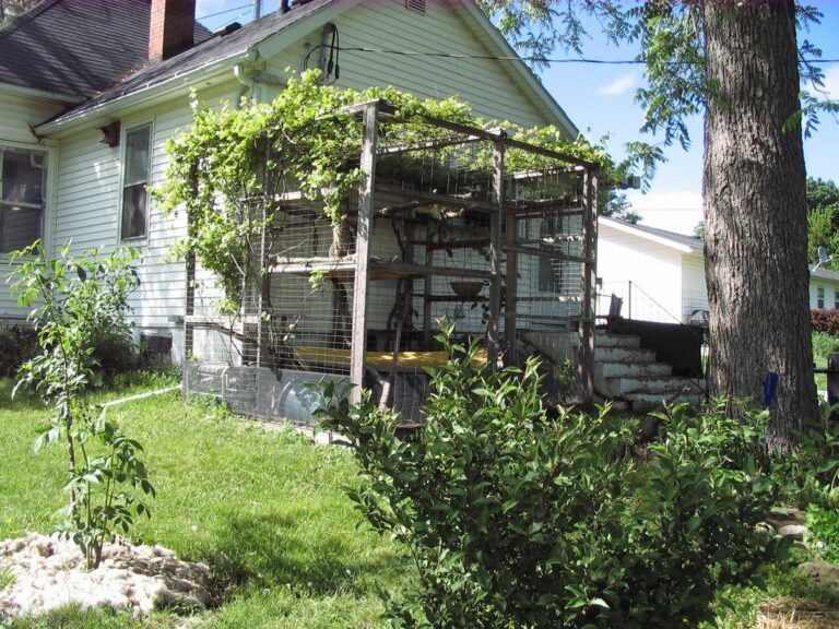 Catio Ideas: 50+ AMAZING CATIO IMAGES | Wire Fence