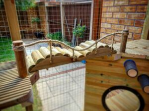 Catio Ideas: 50+ AMAZING CATIO IMAGES | Wire Fence