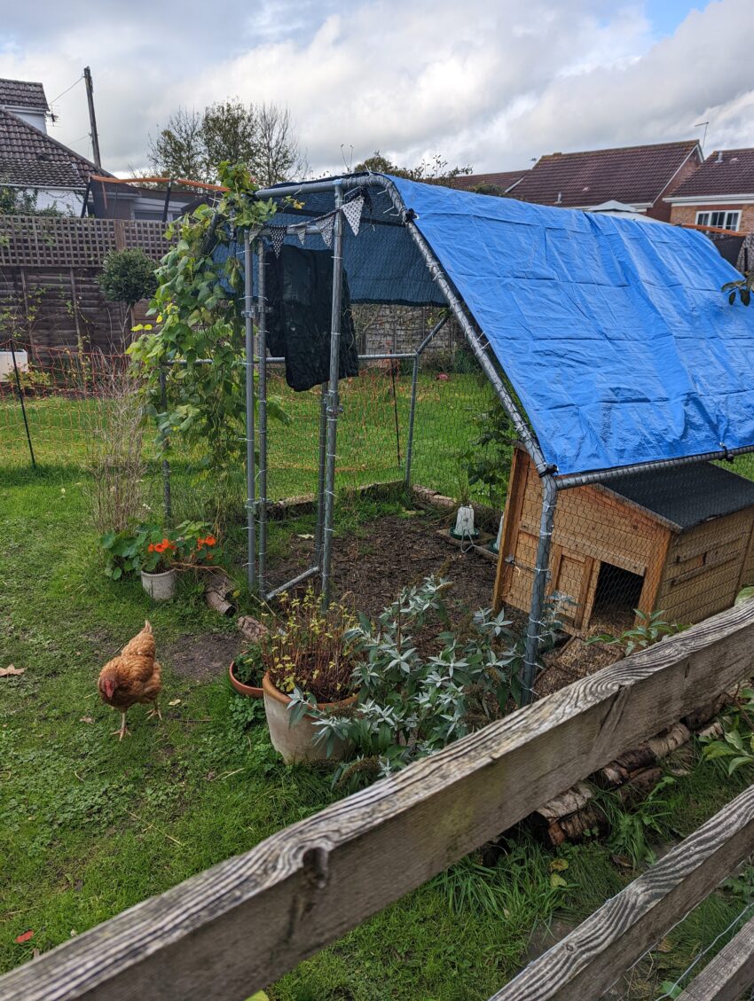 Wire Mesh & Netting (NEXT DAY DELIVERY) | Wire Fence