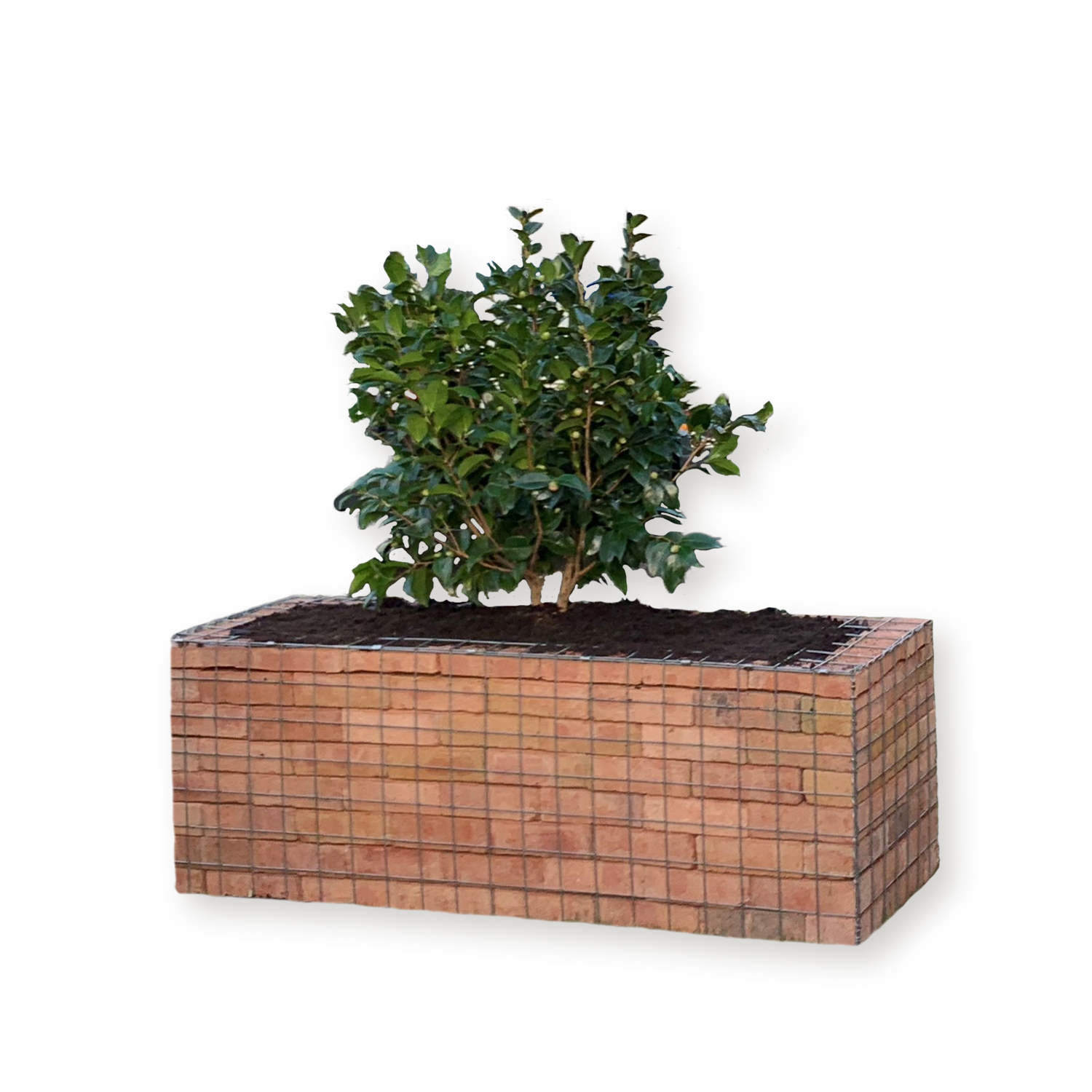 Gabion Planter (All Sizes) QUICK DELIVERY | Wire Fence