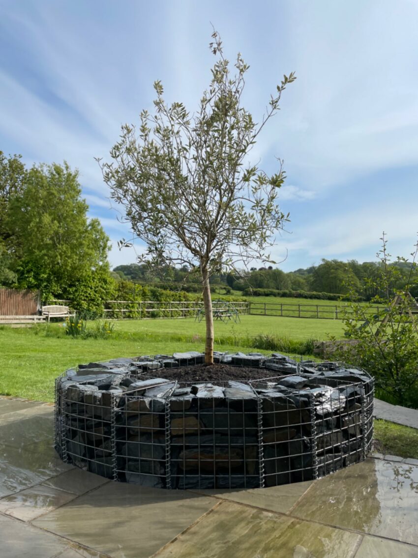 Customer Project of June 2023 | Wire Fence