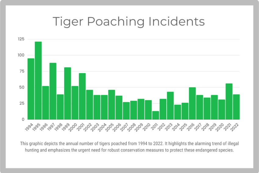 International Tiger Day - Facts, Events, and Expert Insights | Wire Fence
